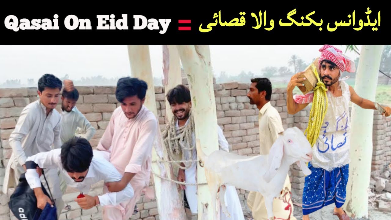 qasai funny videos 2023 | types of qasai on eid | funny videos 2023 ...