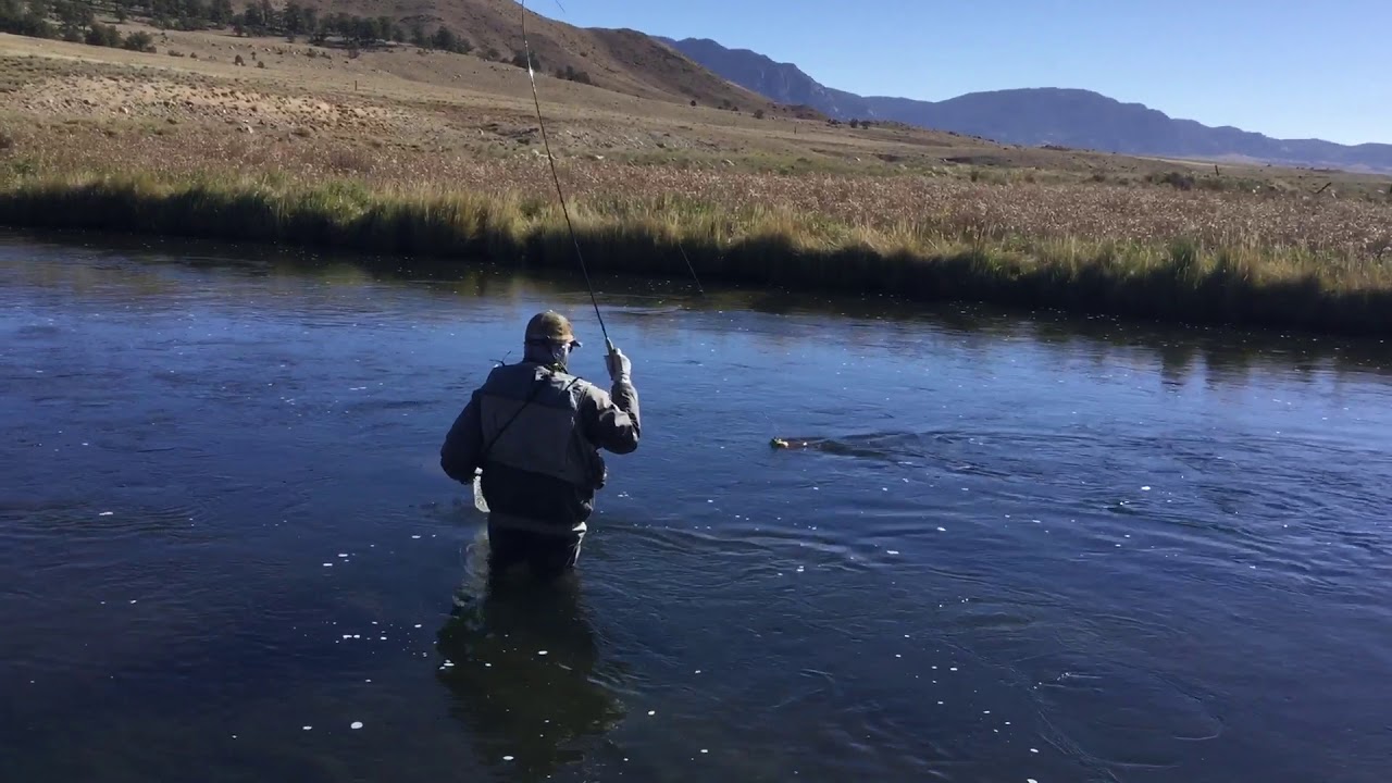 Fly fishing dream stream with dad trico hatch, dry only rules! #26 ...