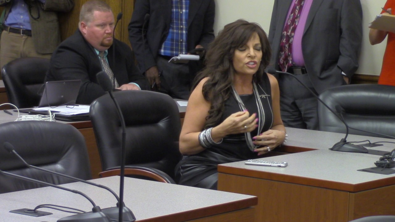 MVI 3607 Arkansas gun activist Jan Morgan testifies for SB585 - YouTube