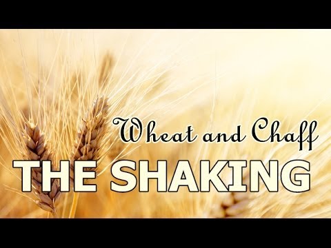 Gathering of Wheat/Separation of Chaff ; by Anointed One - YouTube