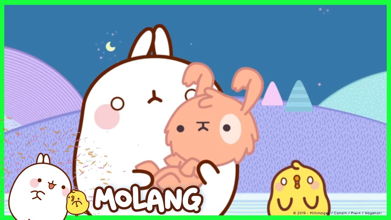 Molang - The Puppy ! | Comedy Cartoon | More ⬇️ ⬇️ ⬇️ - YouTube