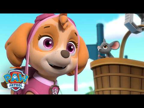 Skye Saves a TINY Mouse! | PAW Patrol | Skye and Friends