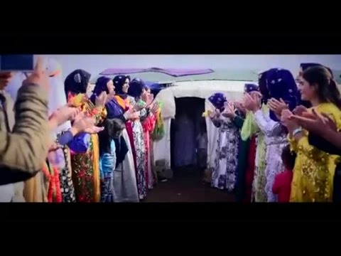 HA GULE KLİBA NU - HESEN NERGİZ