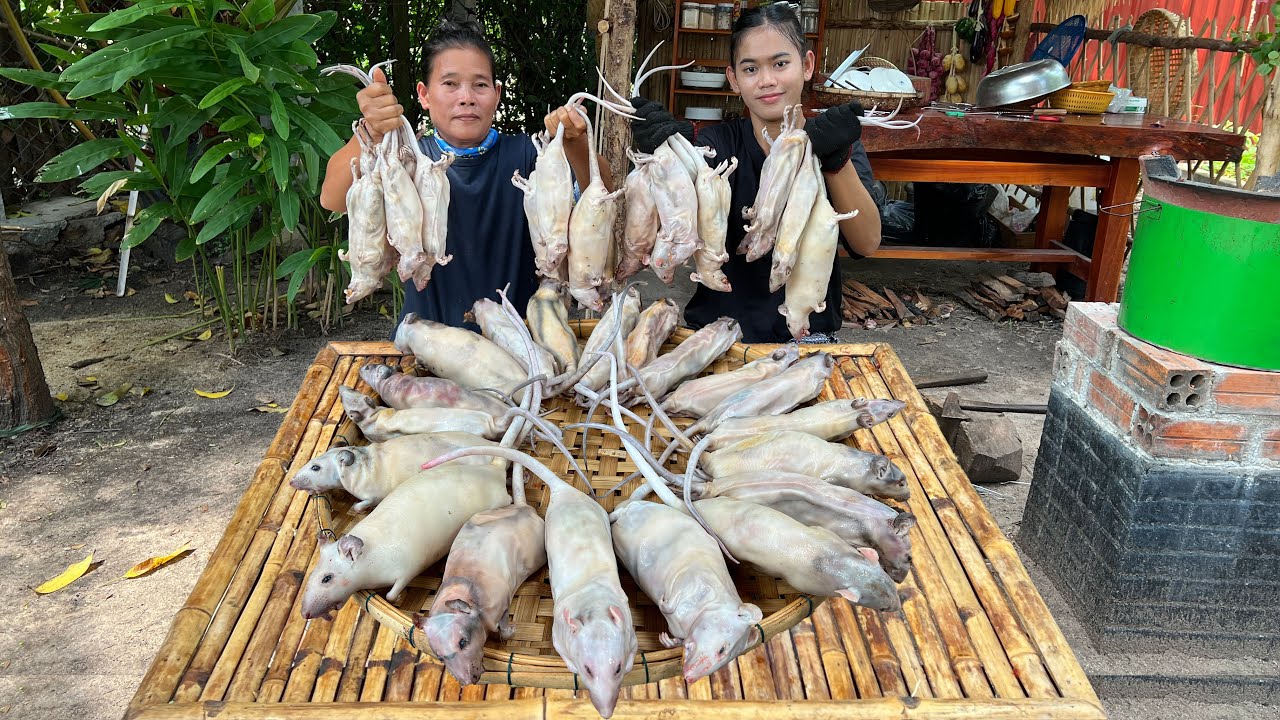 Cooking Mouse with Yummy Recipes by Two Country Style - YouTube