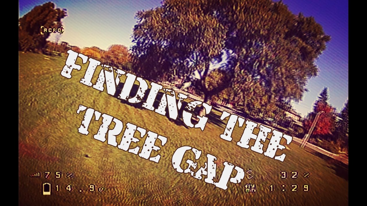 Finding the Tree Gap - YouTube