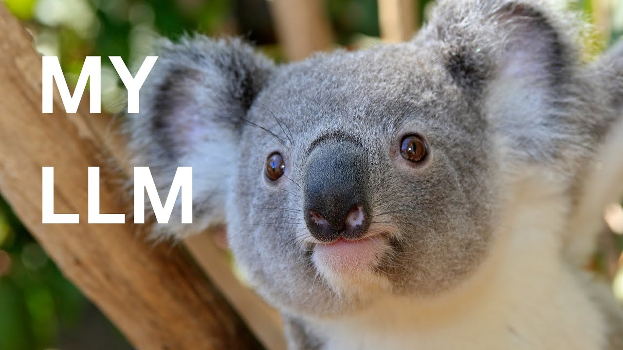 New KOALA LLM - Ignite Your Professional Career in AI - YouTube