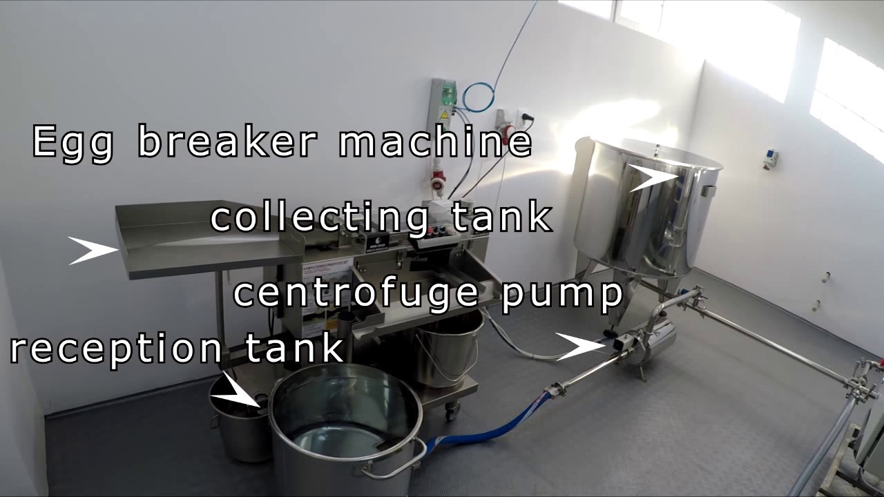 Egg processing complete line 1500 l per hour - YouTube