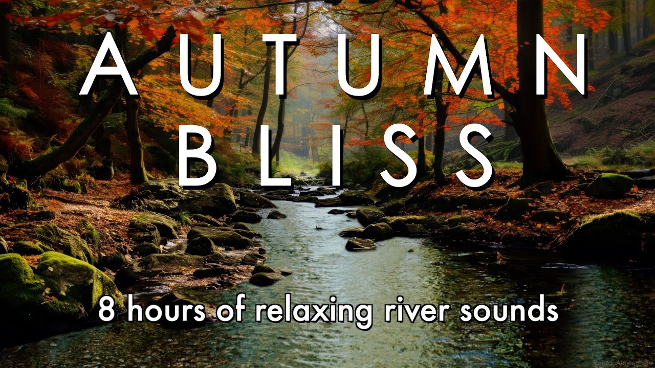 Autumn Bliss 🍁 8 hours of Relaxing River Sounds & Ambience in Fall 🍁 ...