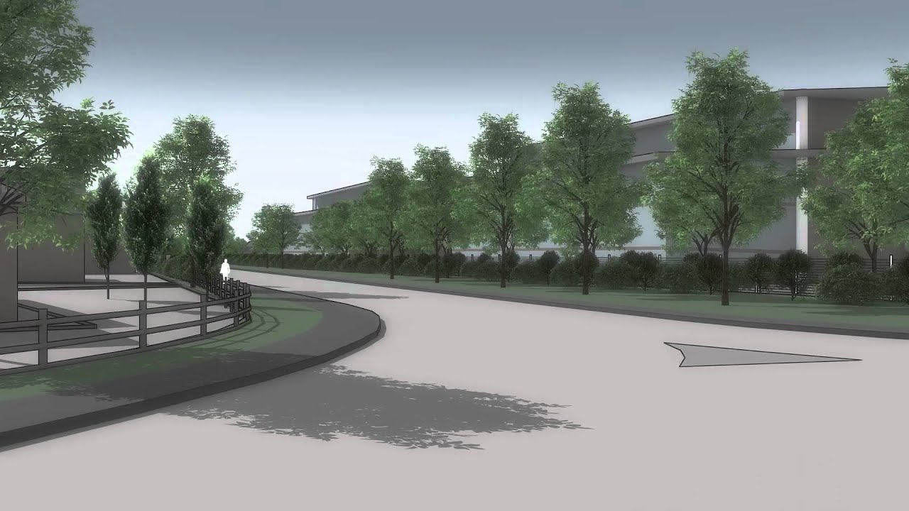 Forestry Commision - Tree lined Approach to Aberystwyth - YouTube