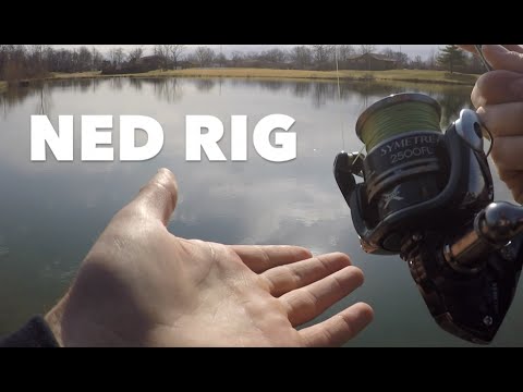 How To Fish The Ned Rig - Bass Fishing - YouTube
