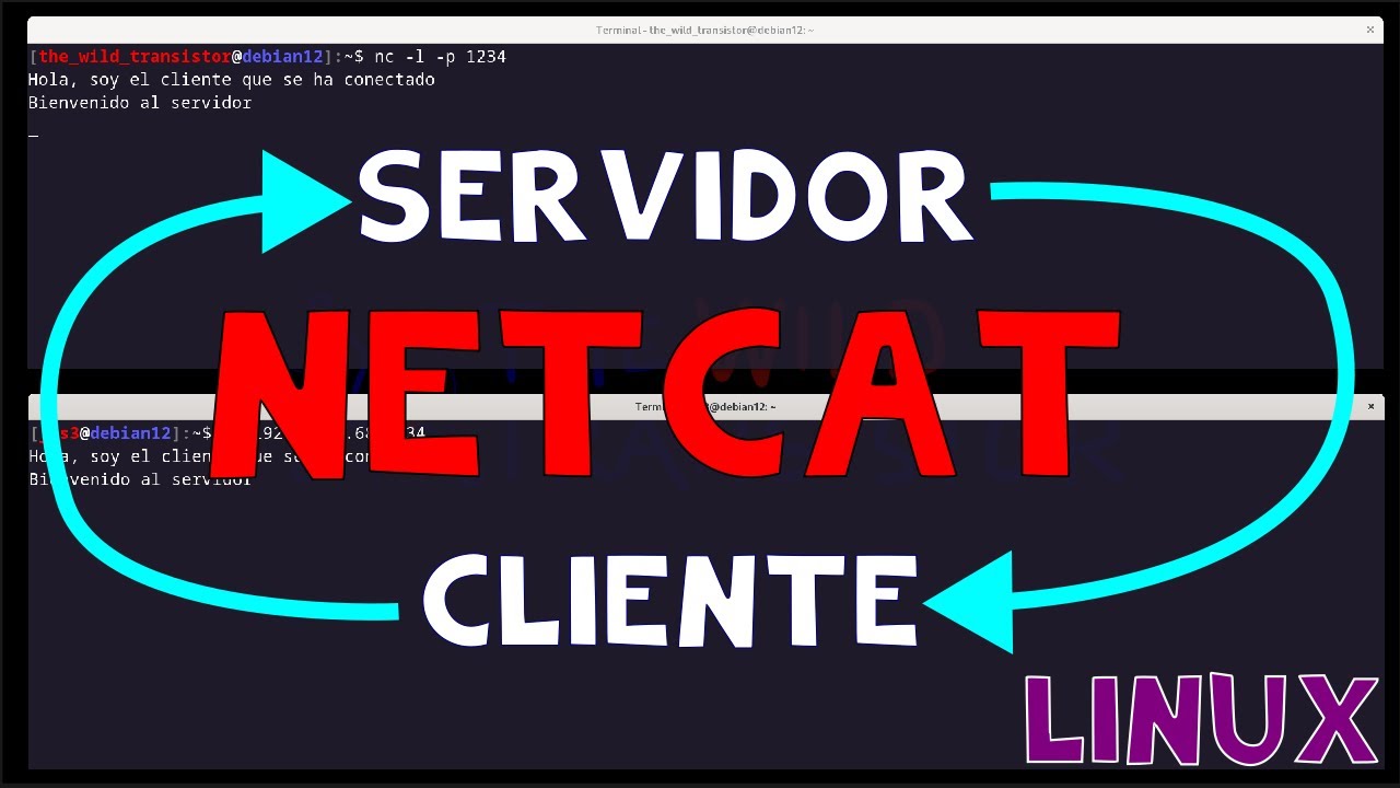 🔥 Aprende Netcat en Linux: Chat en Terminal + Transferencia de Archivos 🔧 [Tutorial Paso a Paso ...