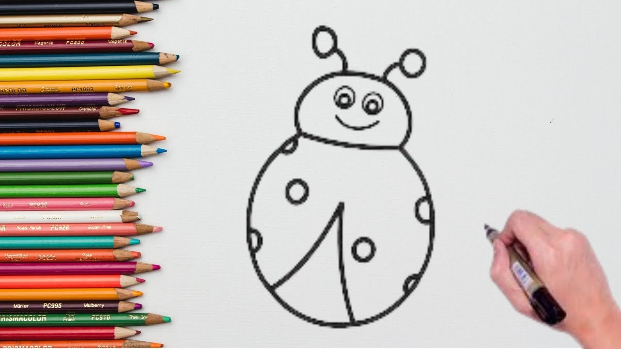 How to draw ladybird | how to draw ladybird easy | how to draw ladybug ...