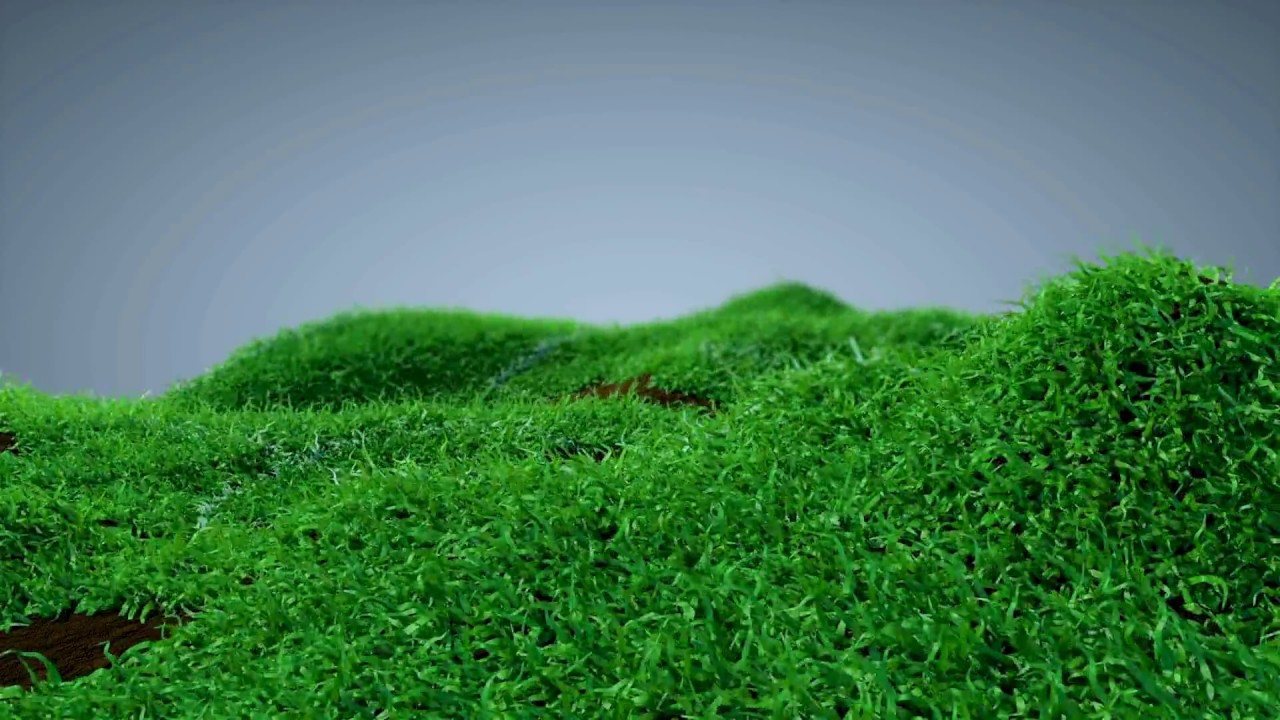 Grass Rendering test - YouTube