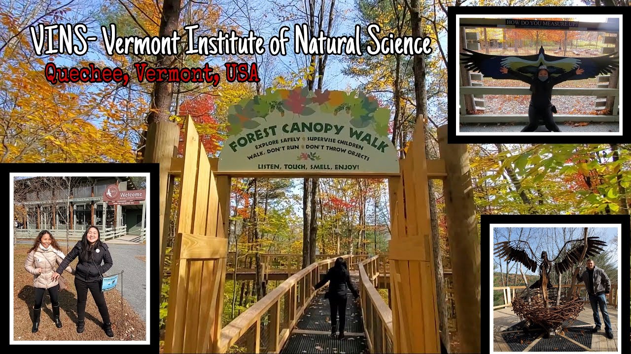 VINS Quechee, Vermont, USA! A Great Place for Everyone! - YouTube