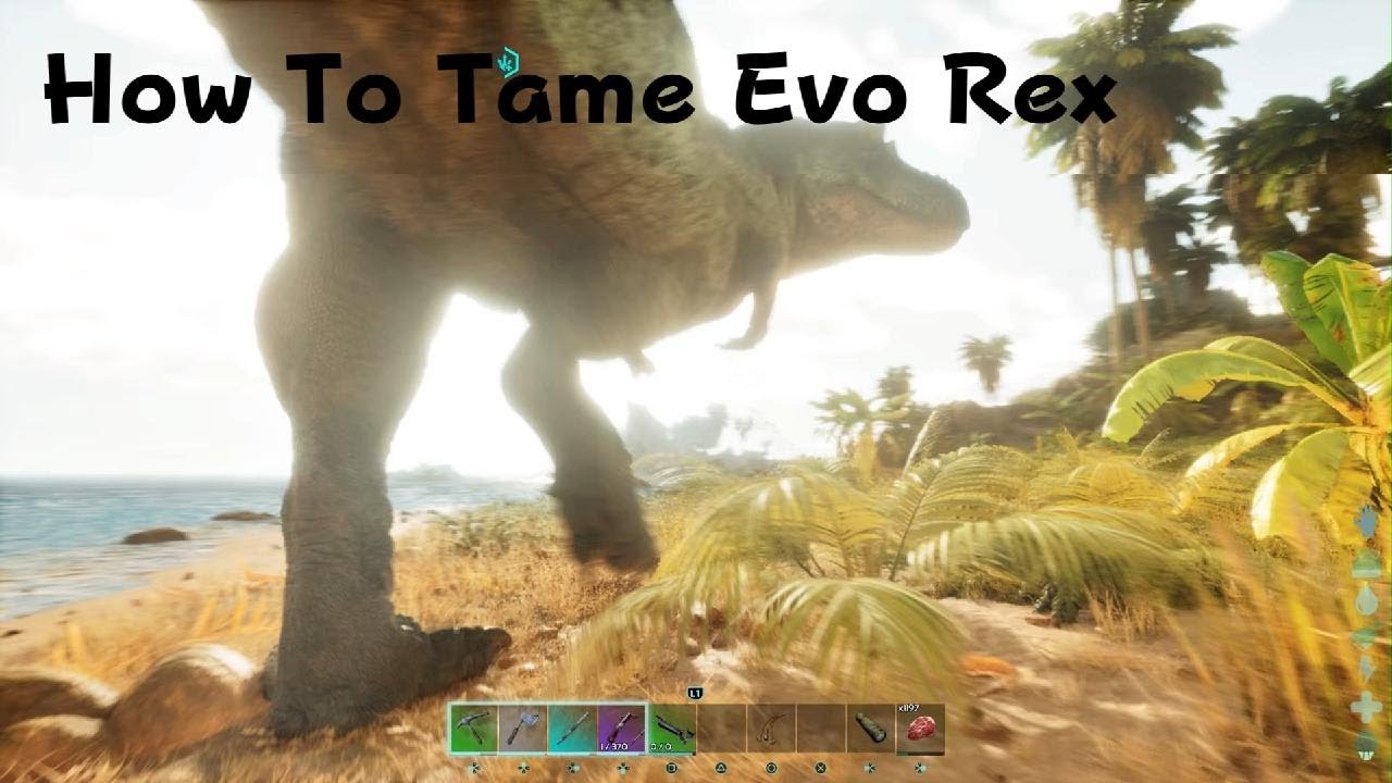 How To Tame Evo Rex|ASA - YouTube