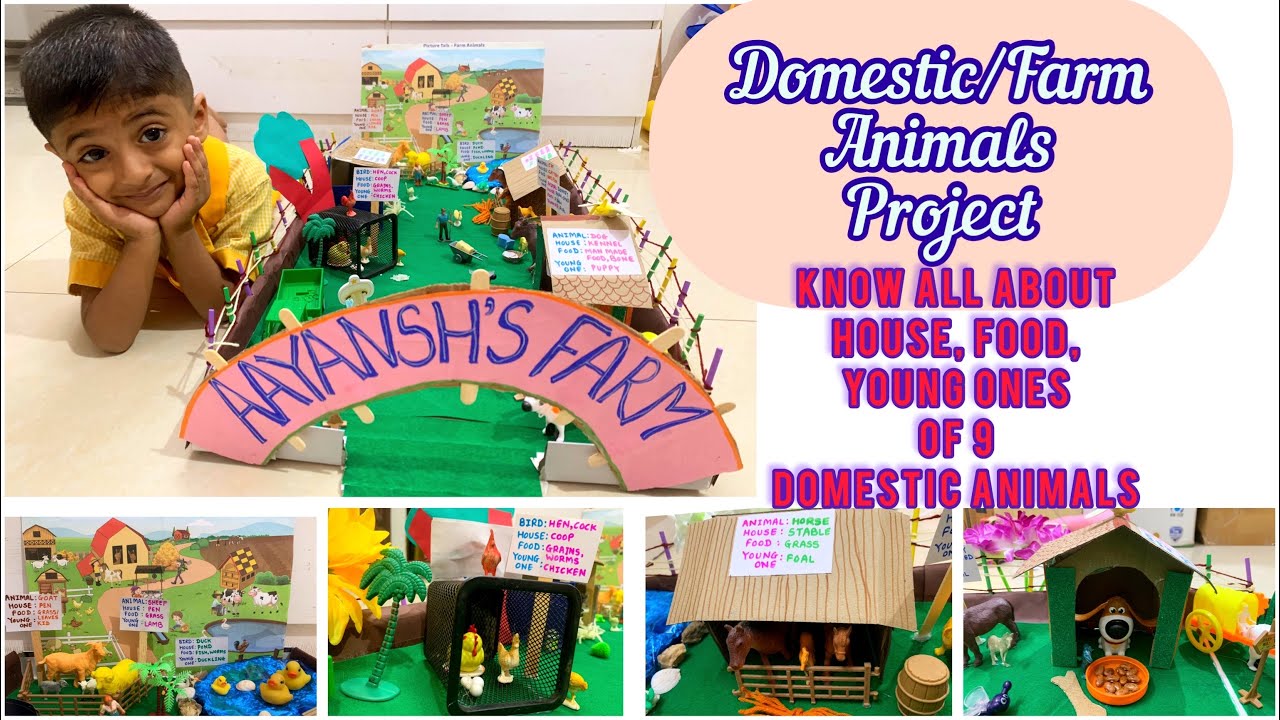 Farm Animals |Nursery Project of Farm Animals|Houses of animals|Sounds ...