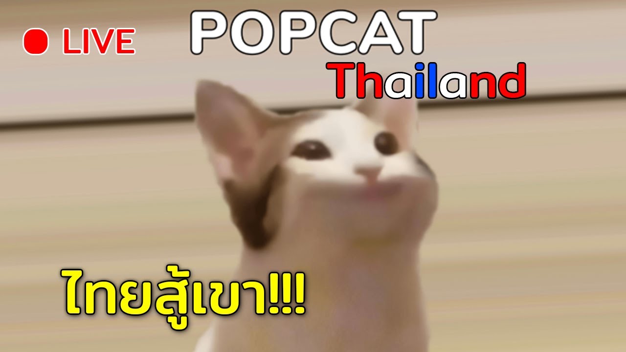 [🔴Live] Thailand สู้!!! | PopCat - YouTube