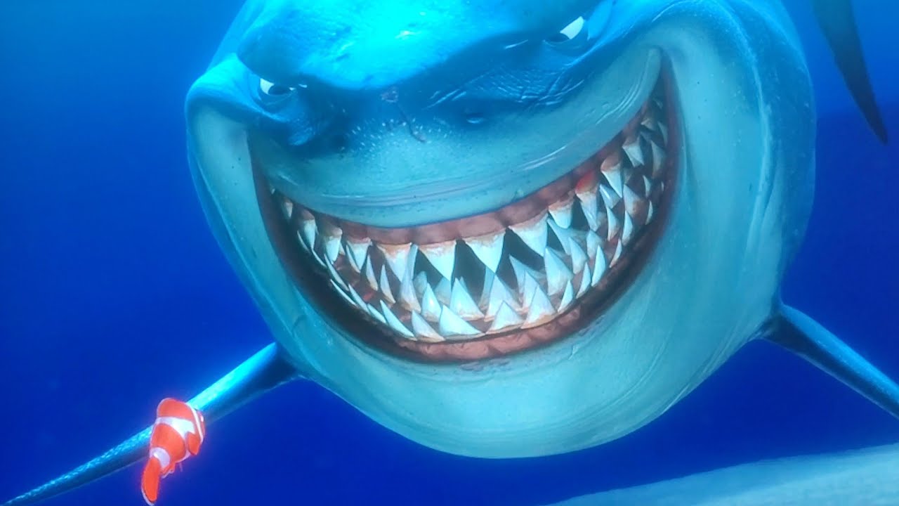Finding Nemo One Shot Great White Shark Bruce Jump Scare - YouTube