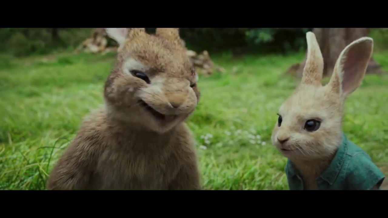 PETER RABBIT Tráiler Oficial 2 en español HD - YouTube
