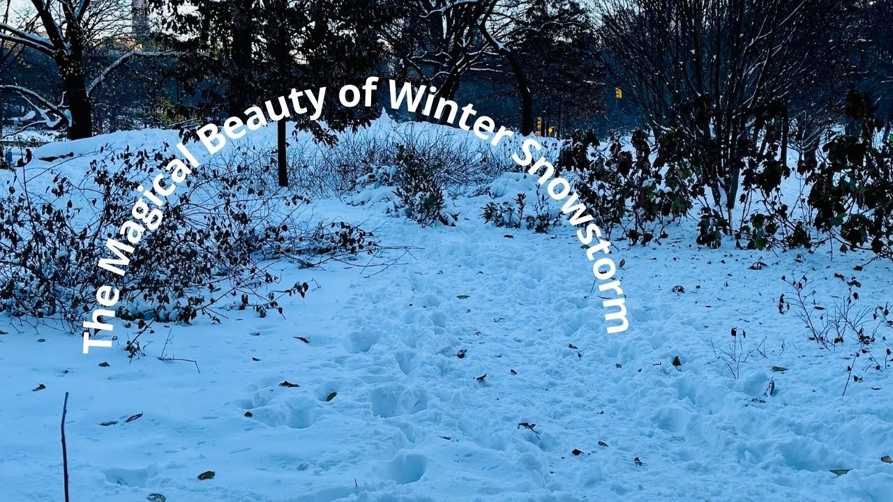 Magical Beauty of Winter Snowstorm | NYC - YouTube
