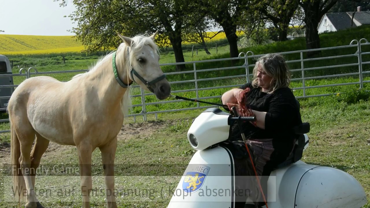 3. Trainervideo: Mustang Makeover Germany - Silke Vallentin & Zoe Coade ...