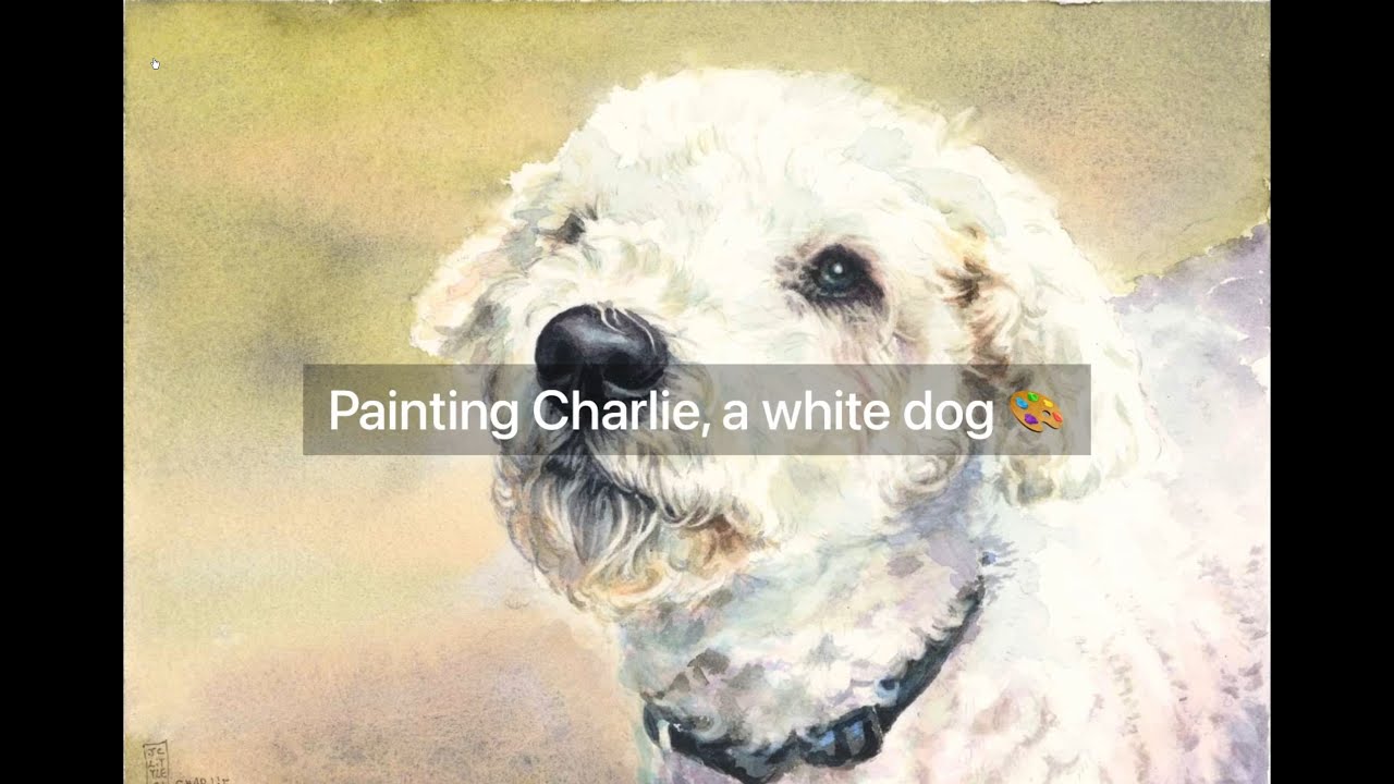 Painting a White Dog Without Using White Paint! - YouTube