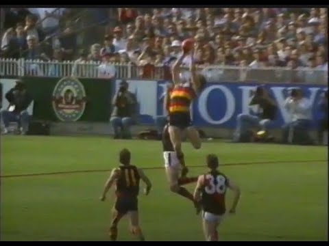 Hanger/Specky Tony Modra VS Dustin Fletcher Essendon 1993 Scott Hodges ...