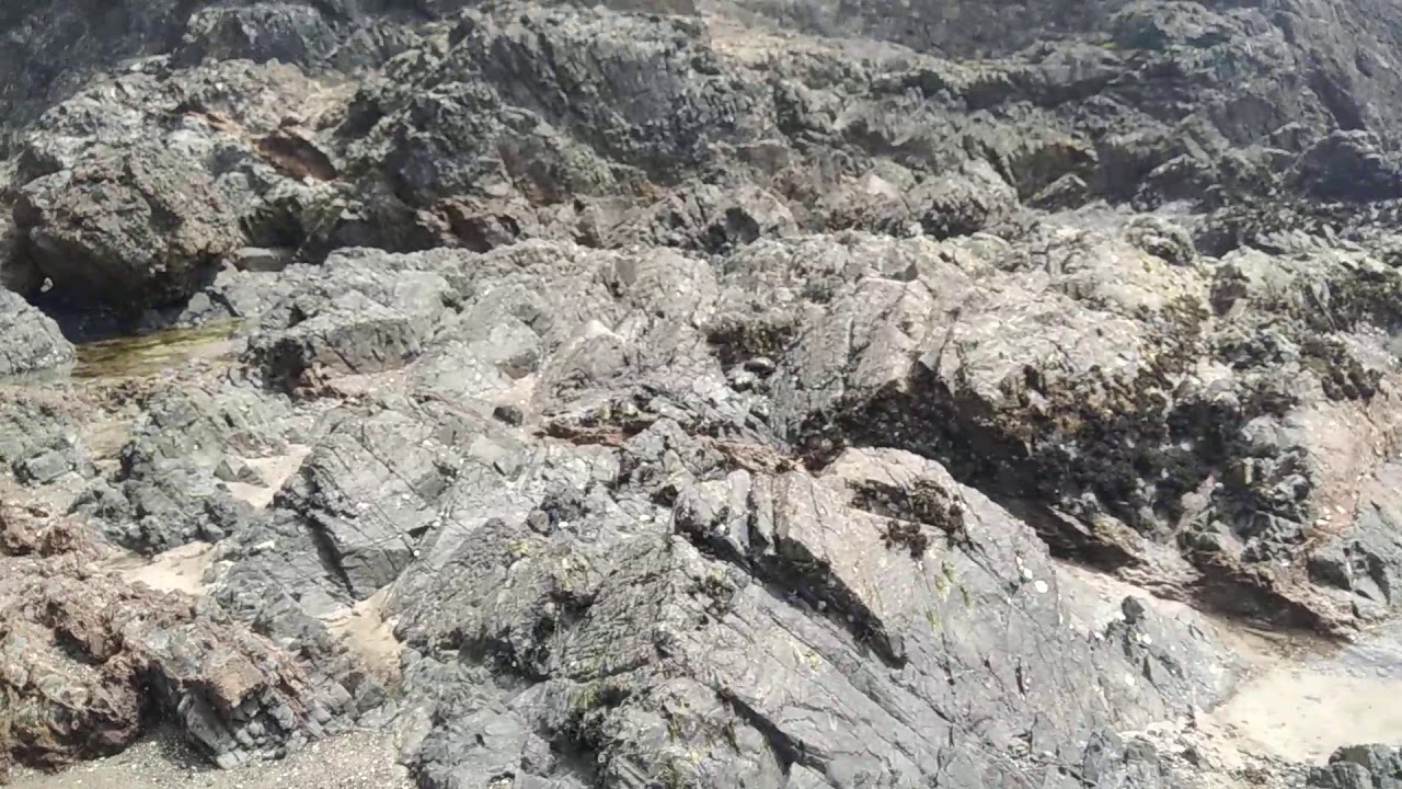 Rock pools in sandy bay - YouTube