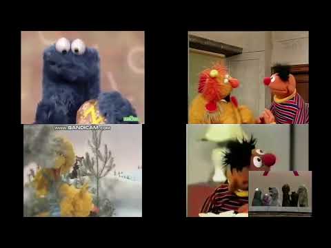 Sesame Street Sparta Quadparison 9