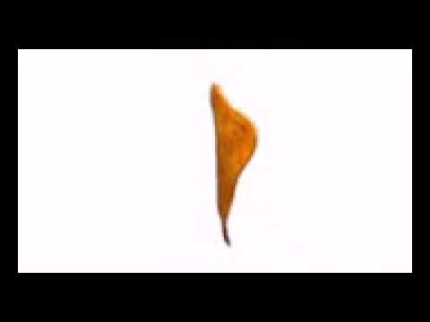 Dorito girando 1 hora en 144p - YouTube