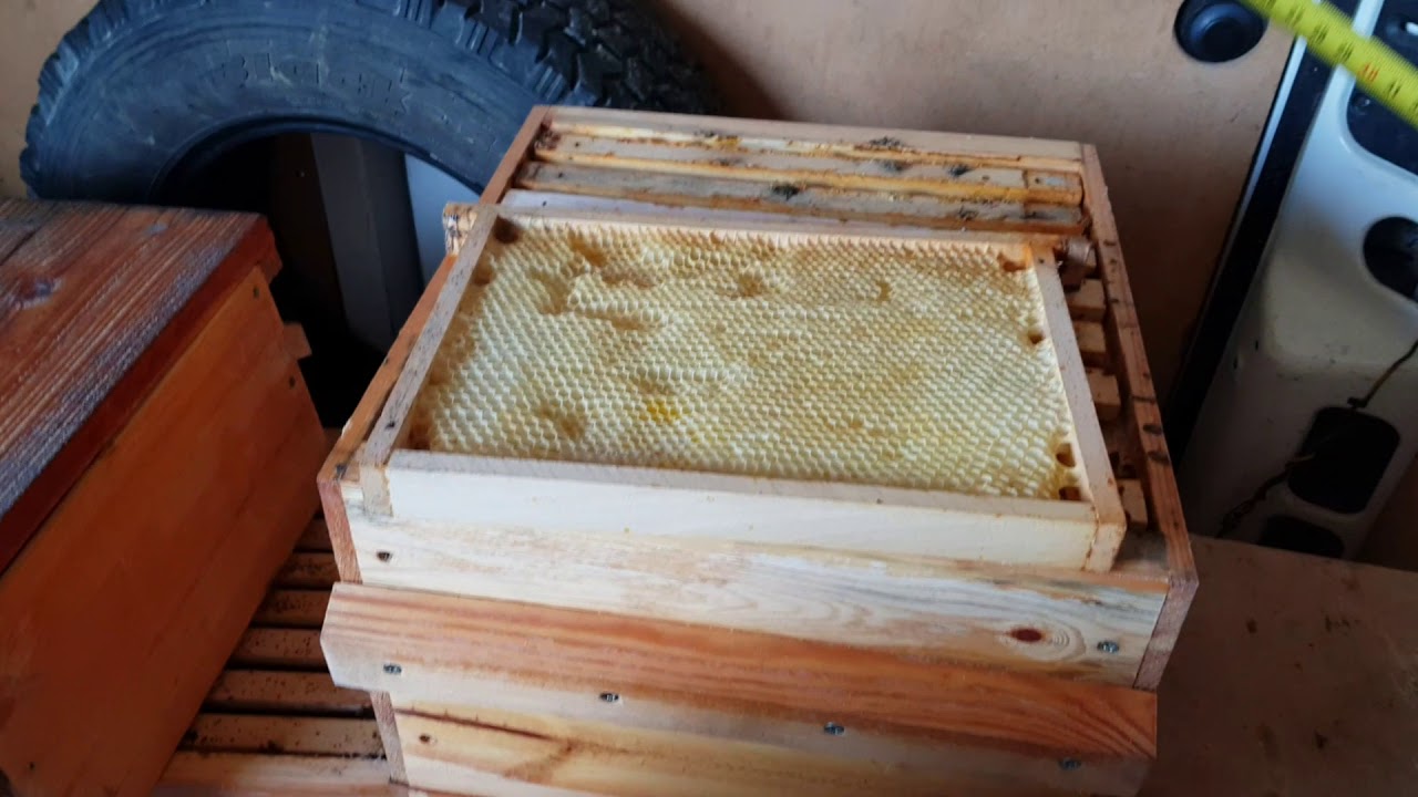 Stupul warre - YouTube