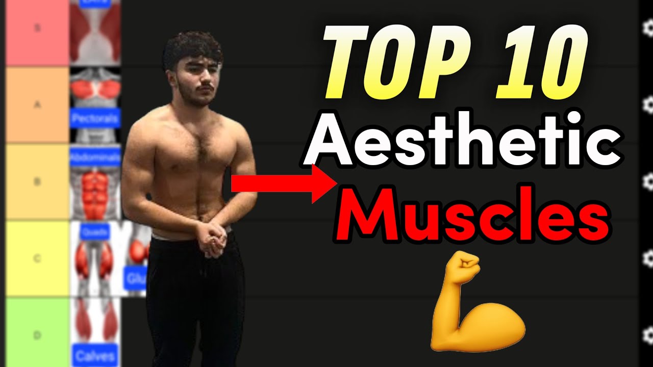 Top 10 MOST Aesthetic Muscles For Bodybuilding - YouTube