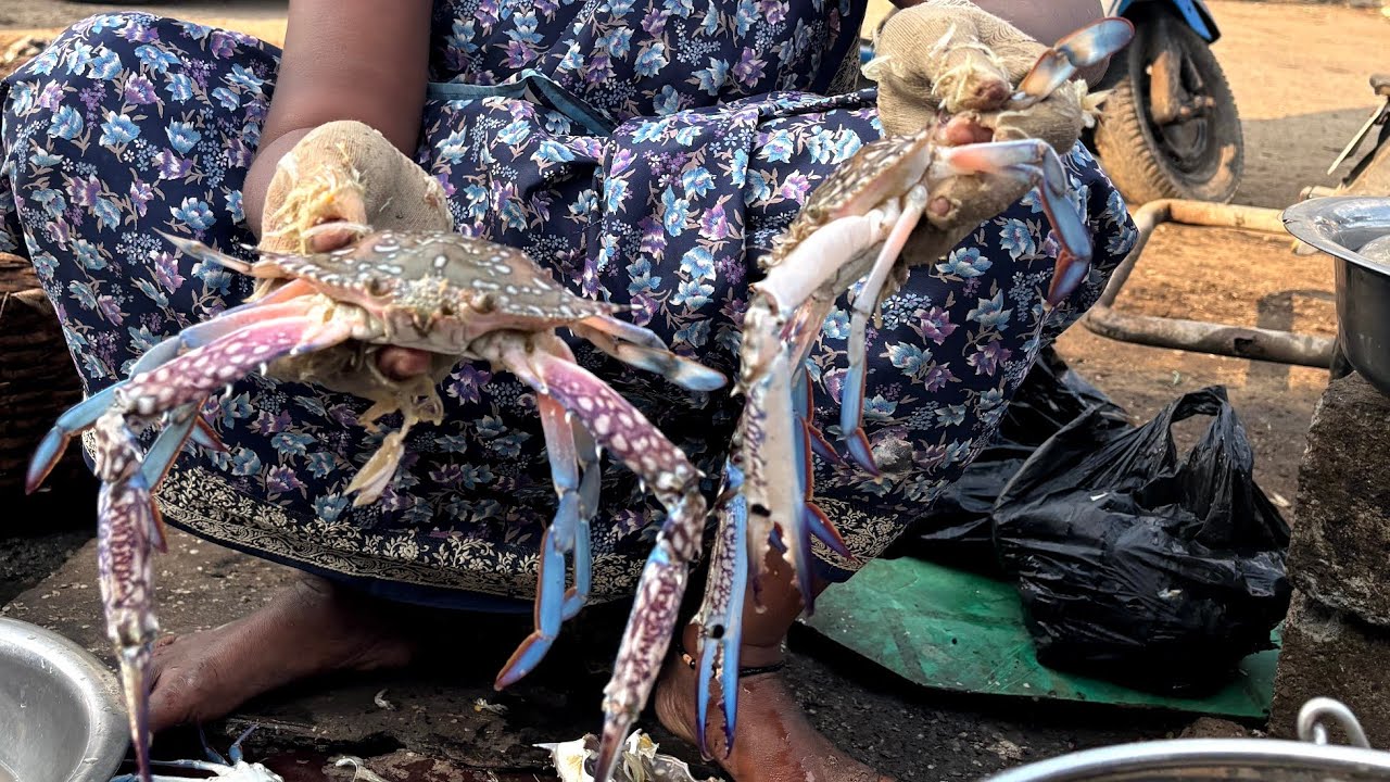 Very Rare BLUE CRABS💙🦀😯 KADAL NANDU🔥 VADACHENNAI MEENAVAN ⚡️ - YouTube