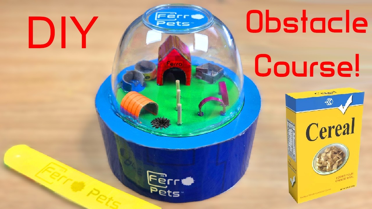 Make Your Own Ferro Pets Obstacle Course From A Cereal Box - YouTube