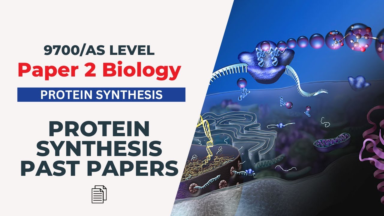 Protein Synthesis (Past Paper Practice) | AS Level - P2 | Biology with ...