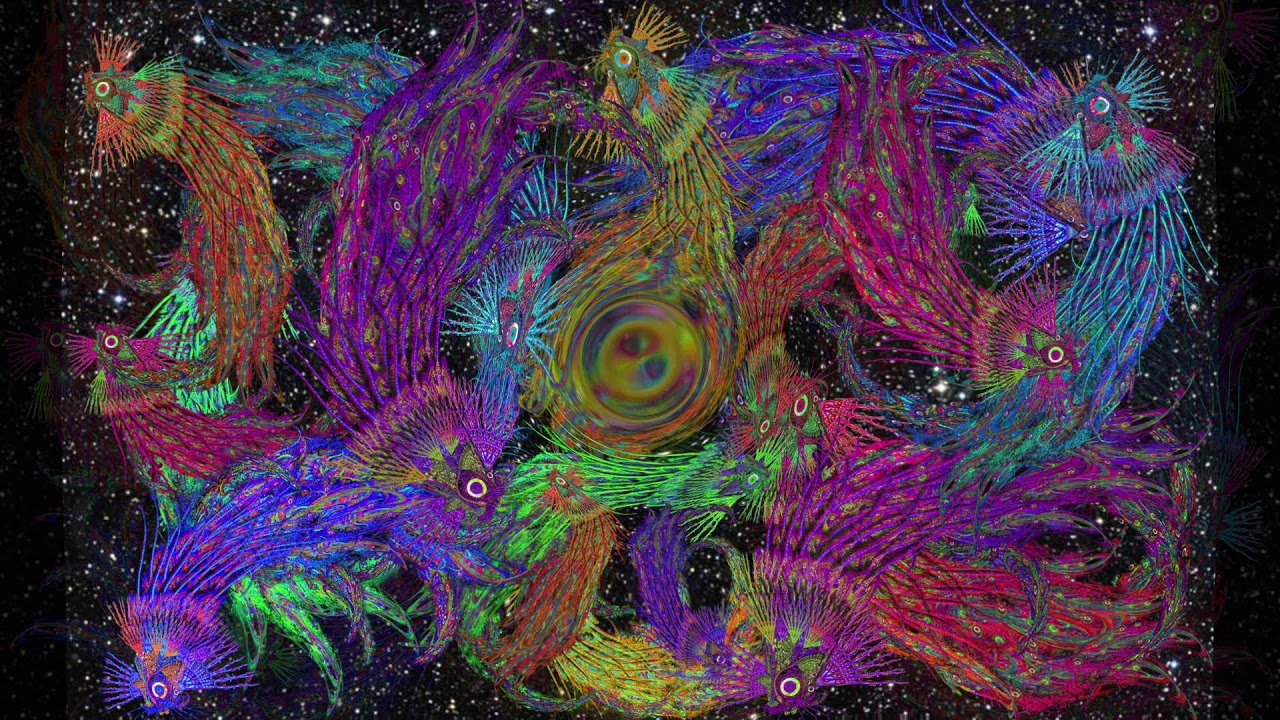 Rainbow Siamese Starfighters 2019 - YouTube