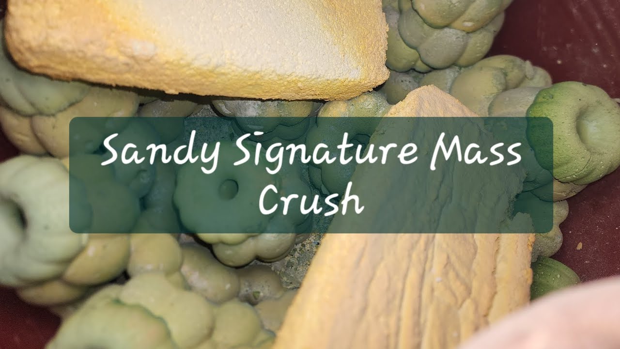 Sandy Signature Bunts and Yellow Peroxide Reforms - YouTube