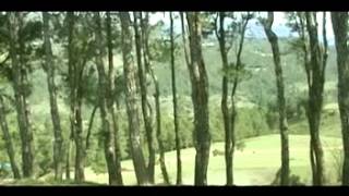 L Sai Zi Gospel Songs | Popnable