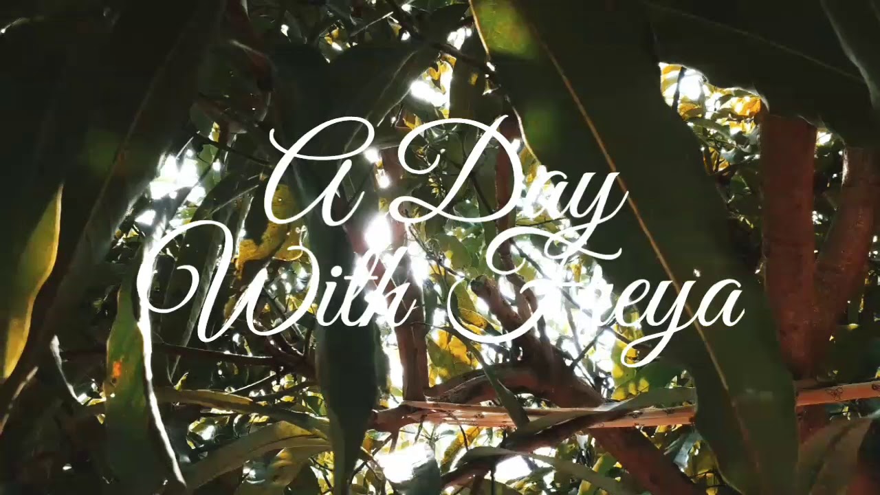 A Day With Freya - YouTube