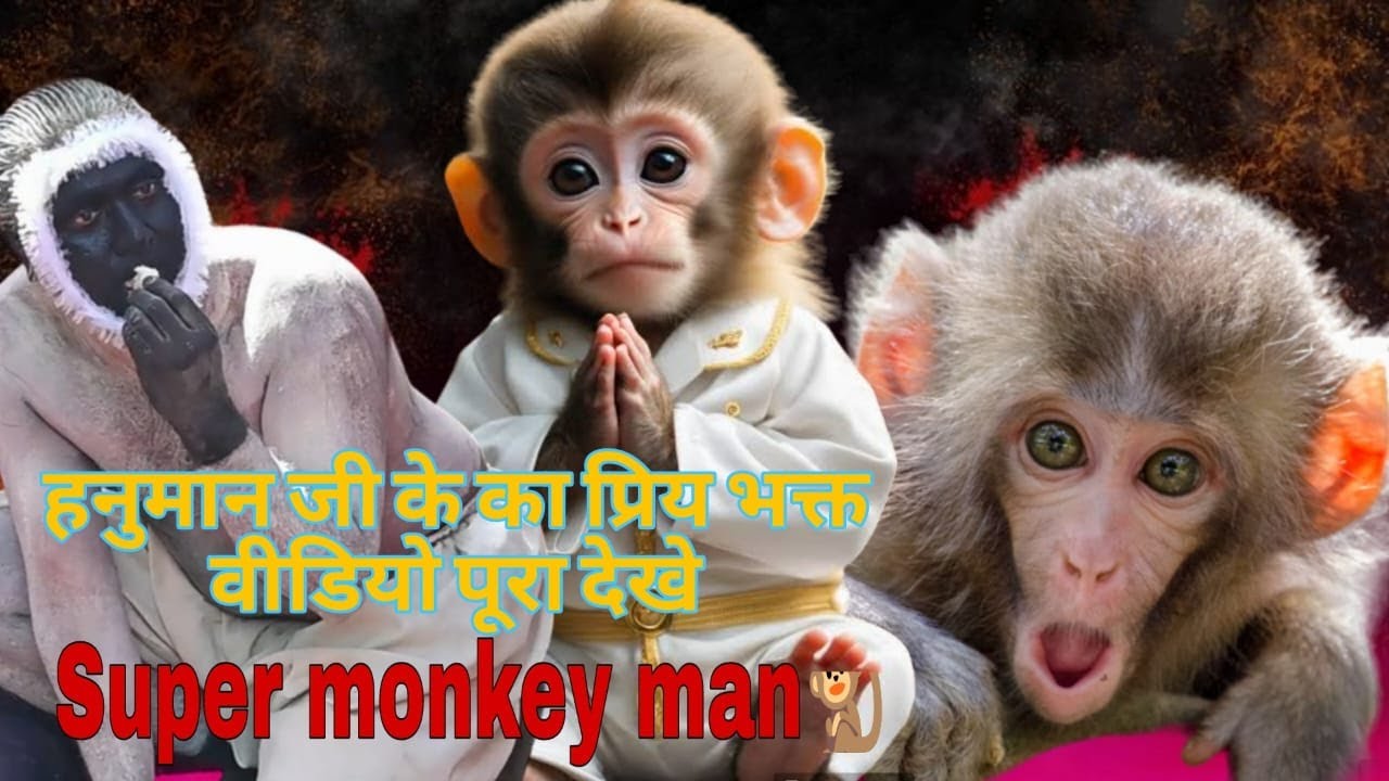 jay hanumana jay mahavira sankat mochan || Jay Shree Ram🙏Super Monkey ...