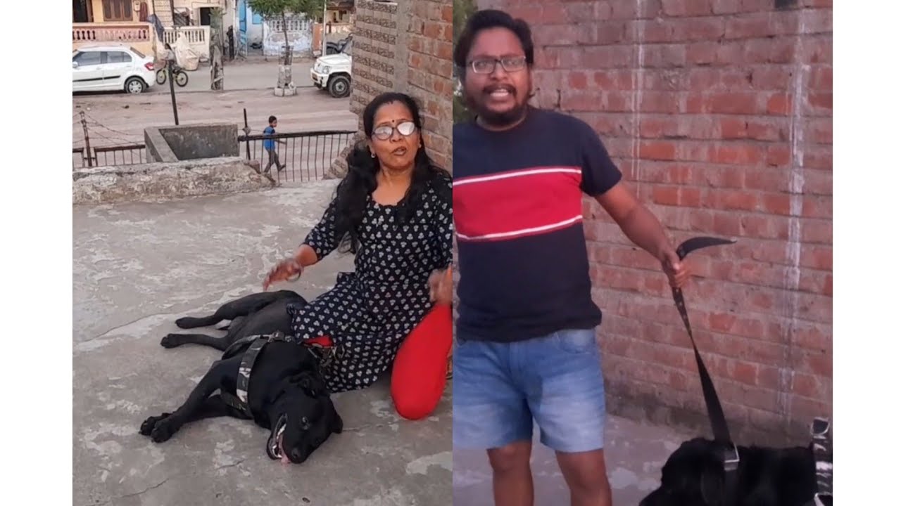 How To Release Aggressive Dog's Bite Force Lock. By Owner: ARATI PATEL ...