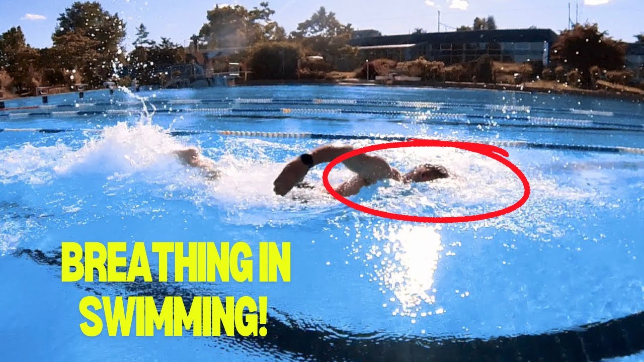 Breathe Easy: Mastering the Art of Swimming Respiration #swimming - YouTube