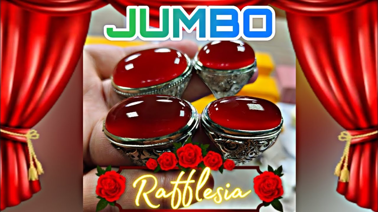 Batu Red Rafflesia Jumbo SIKAAT! Selagi ada, Belum tau kapan dapat lagi ...