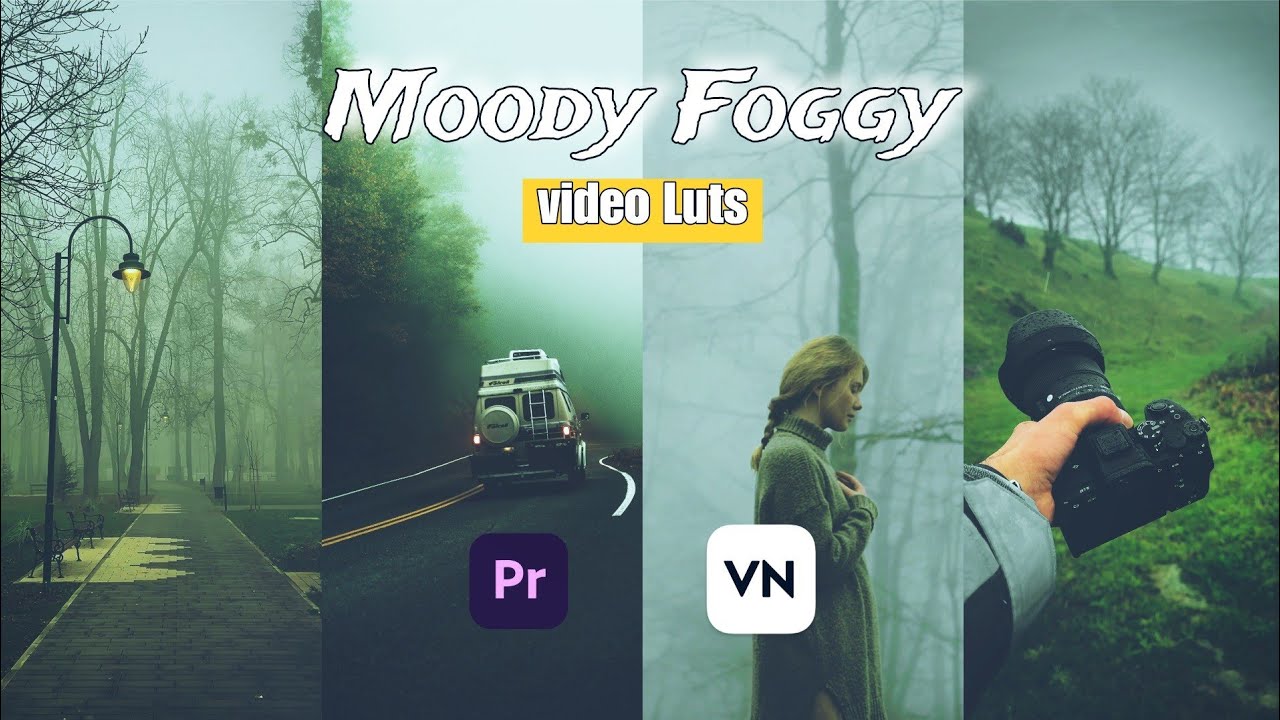 Cold Foggy Moody Cinematic Color Grading Tutorial|Moody color grading ...