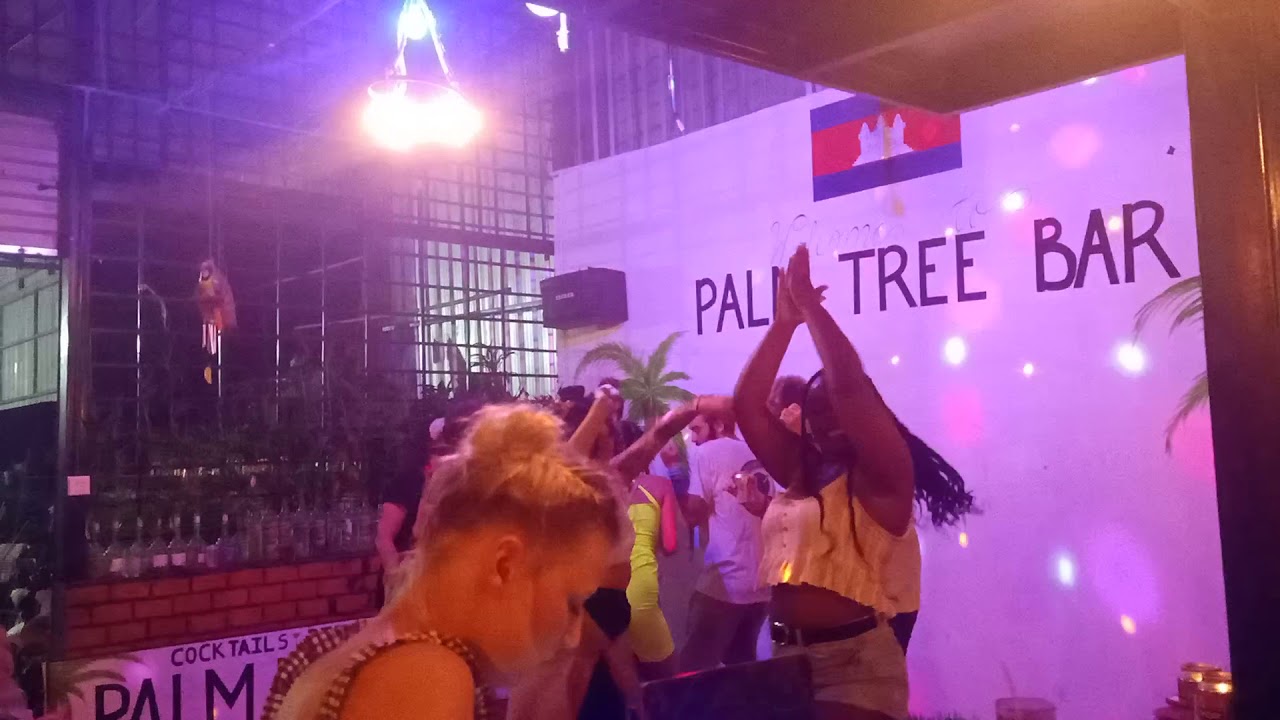 Palm Tree Bar - YouTube