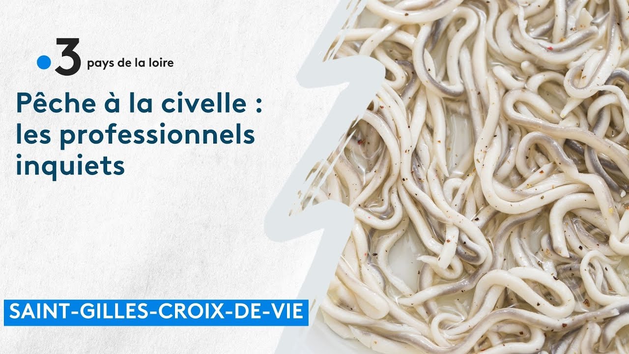 Les pêcheurs à la civelle de St Gilles Croix inquiets - YouTube