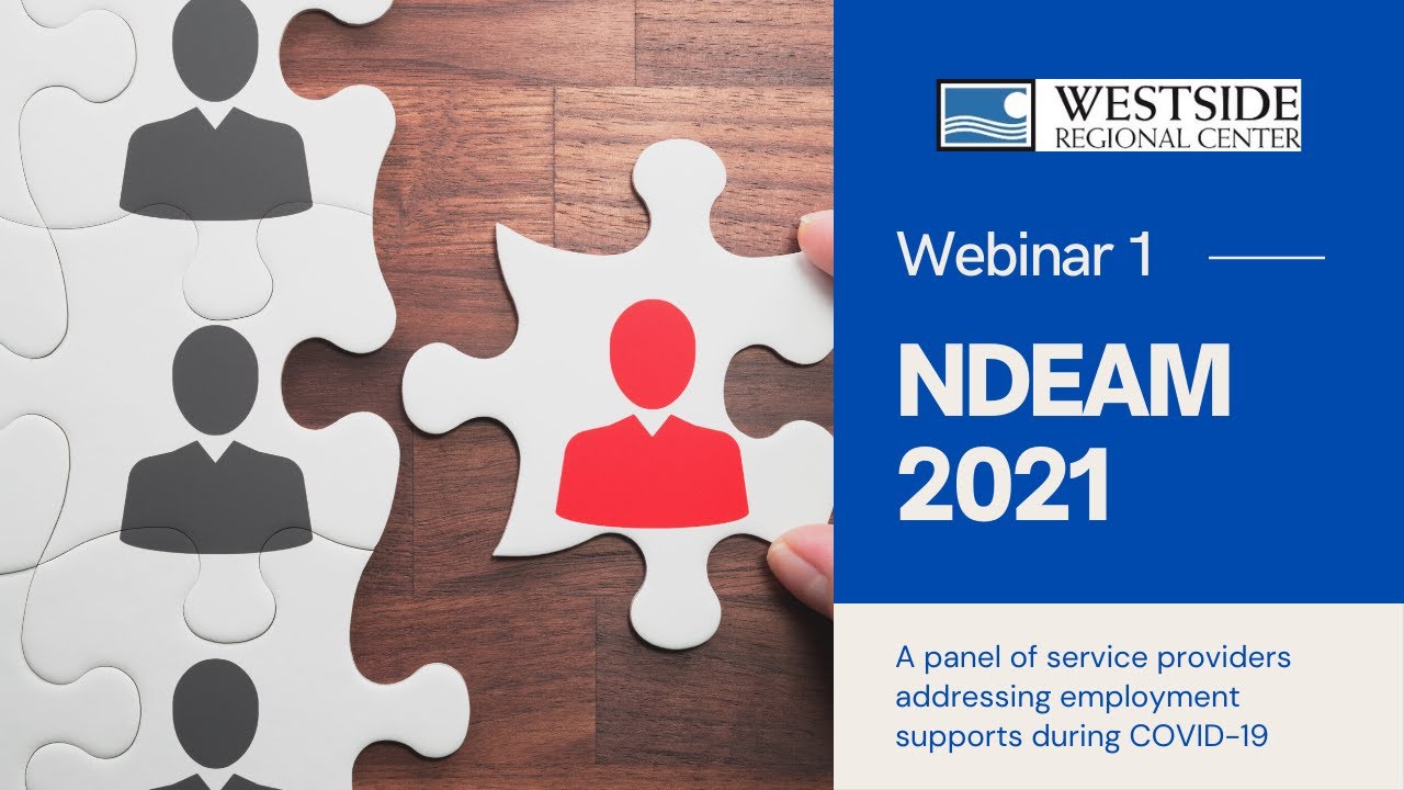 NDEAM Webinar 1 - A panel of service providers addressing employment ...