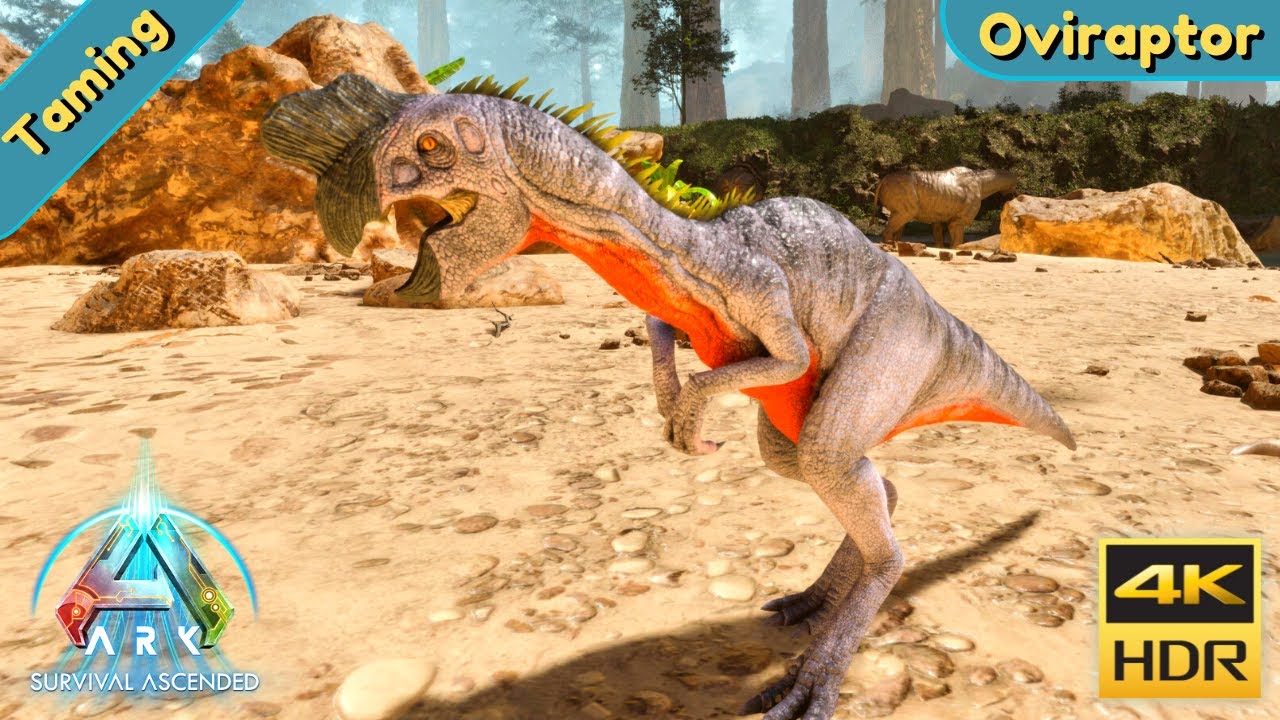ARK Survival Ascended : Tame a Oviraptor - YouTube