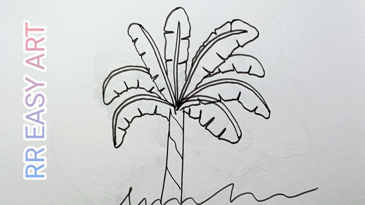 Banana tree drawing | drawing banana tree easy | simple drawing banana ...