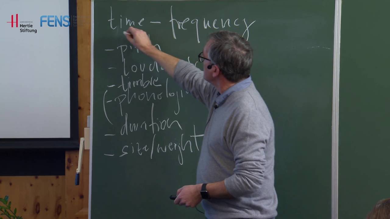 FENS Hertie Winter School 2015: David Poeppel on Linking motor and ...
